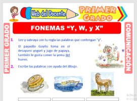Fonemas Y, W y X para Primer Grado de Primaria – Web del Docente