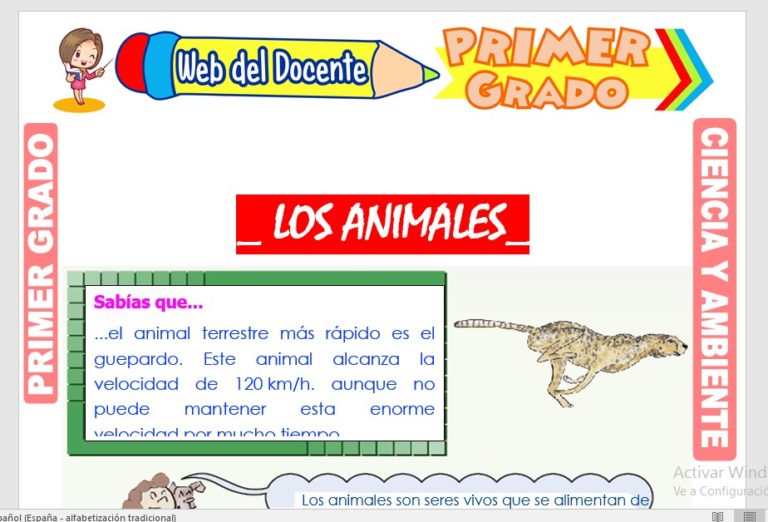 Los Animales para Primer Grado de Primaria – Web del Docente