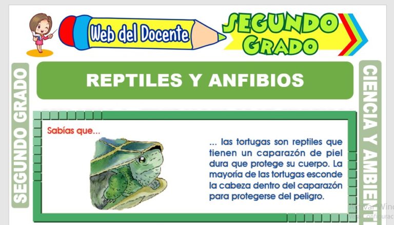 Reptiles y Anfibios para Segundo Grado de Primaria – Web del Docente