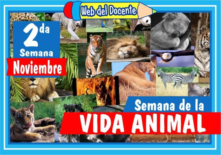 2da Semana de Noviembre ≫ Semana de la Vida Animal
